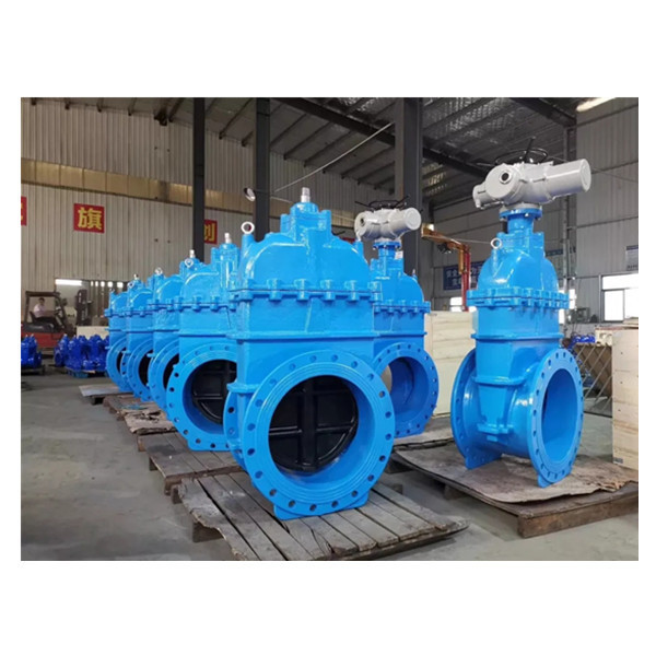 Water Flow Control HT200 Cast Iron Flange Type Gate Valve with Ductile ...